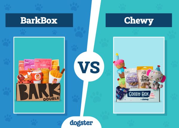BarkBox vs Chewy Dog Subscription Box: Complete Comparison 2026 Update ...