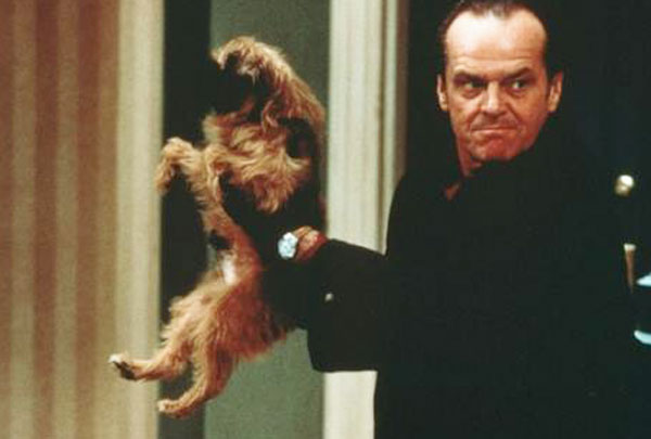 Famous Dog Actors In Hollywood: Facts & FAQ – Dogster