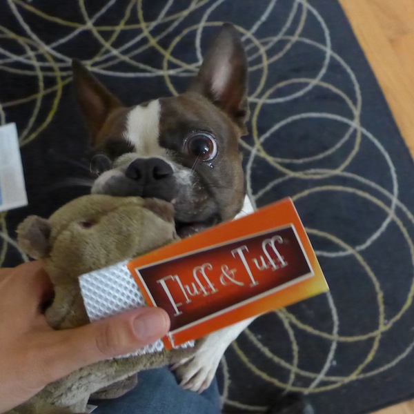 Fluff & Tuff Dog Toys: Can They Stand Up to Ace's Abuse? – Dogster