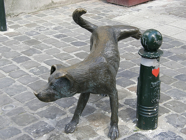 8 Famous Dog Statues from Around the World – Dogster