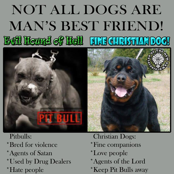 Guide To Purebred Dogs Poster