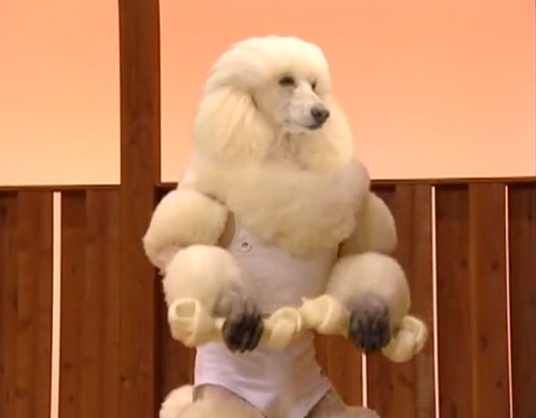 So We Found This Video from a Different Universe: Exercise with the ...