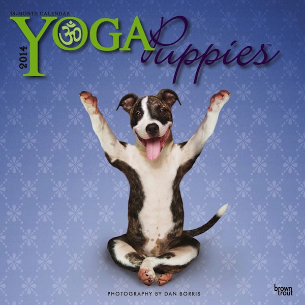 Yoga Dog Calendar