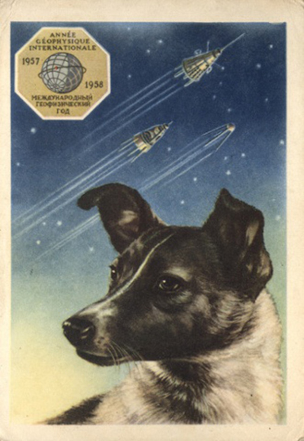 Soviet Space Dogs: The Story of The First Dogs in Space – Dogster
