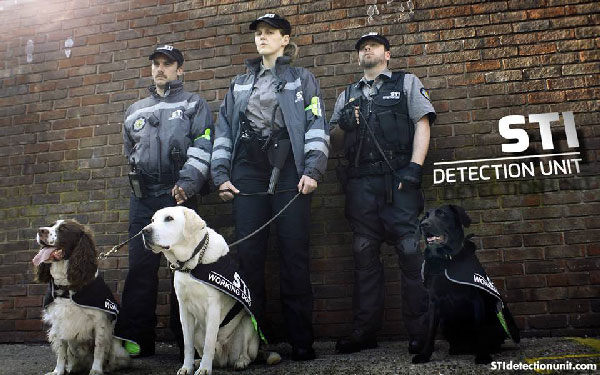 This Ad Showing Dogs Humiliating People for Having STIs is Shameful ...