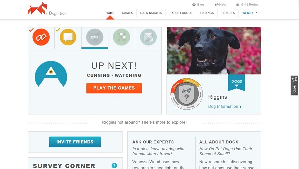 Dognition Test Review: What Is It and How Does It Work – Dogster