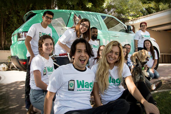 What Is "Wag!"? A Guide to the Uber for Dogs – Dogster