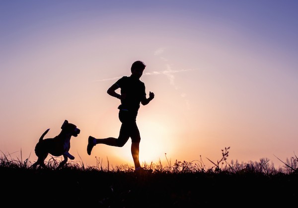 How to Train for a 5K Run With Your Dog: 5 Essential Tips – Dogster