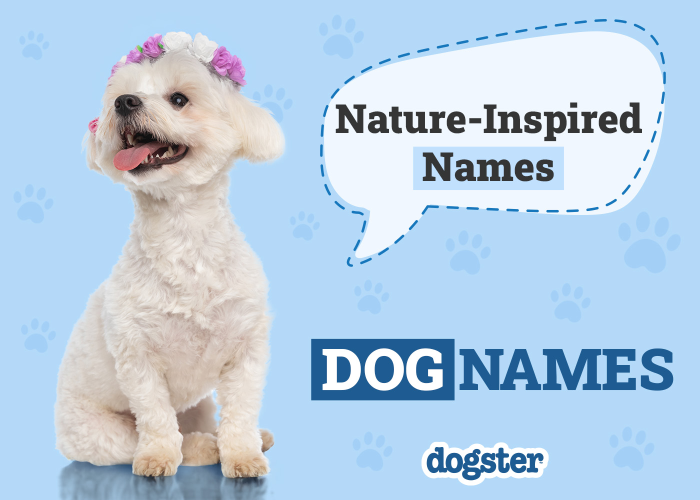 115 Nature Inspired Dog Names for the Outdoorsy Type Dogster