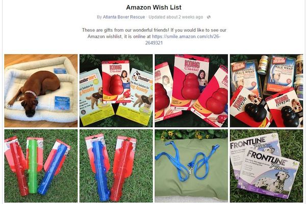 How To Help Dogs In Shelters & Rescues: 8 Ways to Help Pets in Need ...