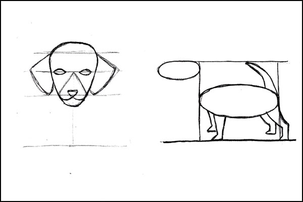 How to Draw a Puppy: Step-by-Step Instructions – Dogster