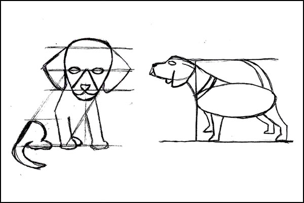 How to Draw a Puppy: Step-by-Step Instructions – Dogster