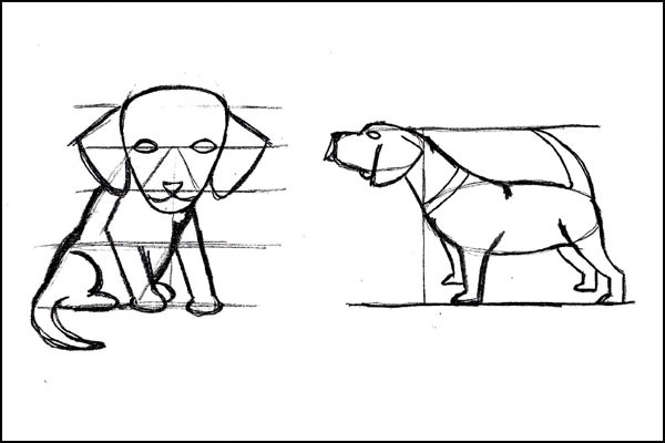 How to Draw a Puppy: Step-by-Step Instructions – Dogster