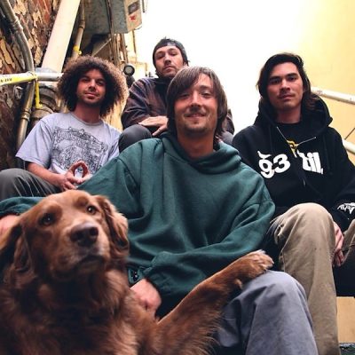 Cocoa the Stick Figure Dog Loves Her Life With Reggae Band – Dogster