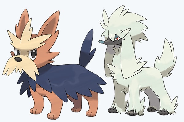 Czy Są Jakieś Pokemony Dla Psów? | Tombouctou