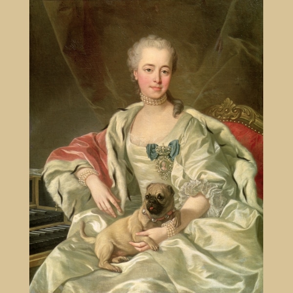 Art History and Pug History: Pugs in 18th-Century Art