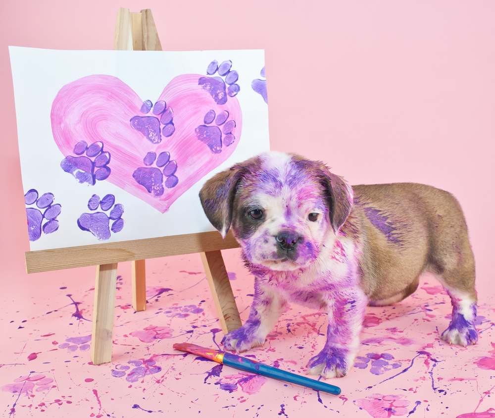 How to Teach Your Dog to Paint: A Step-By-Step Guide – Dogster