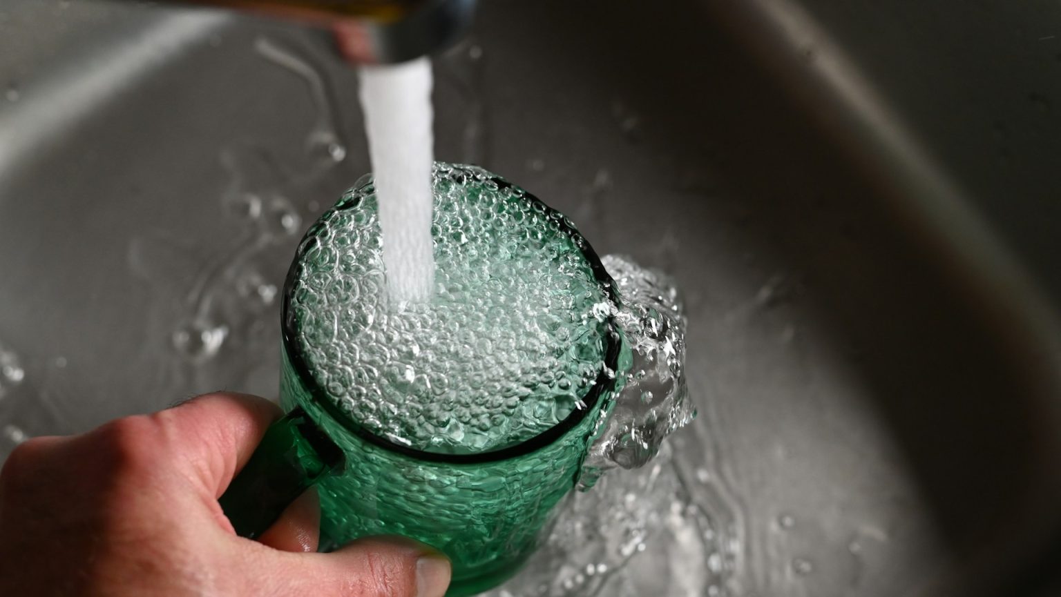 Types of Water for Dogs: Vet-Verified Water Sources & Advice – Dogster
