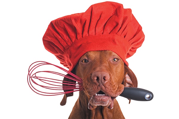 5 Easy Dog-Friendly Recipes You Can Try at Home – Dogster