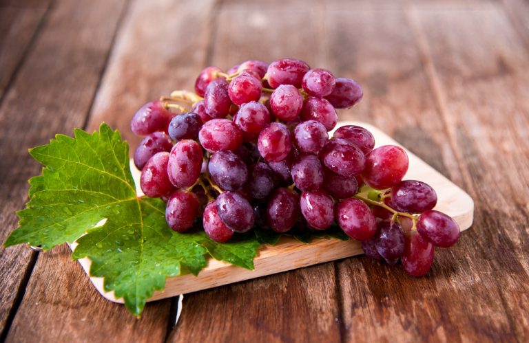 Can Dogs Eat Grapes? Vet-Verified Risks & Safety Guide – Dogster