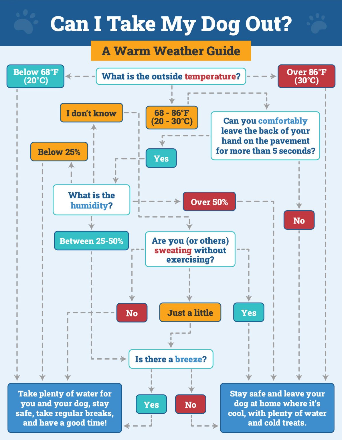 How to Cool Down a Dog: 10 Vet-Approved Tips – Dogster