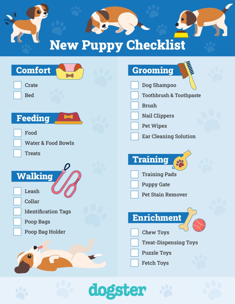 New Puppy Checklist: 23 Vet-Approved Supplies – Dogster