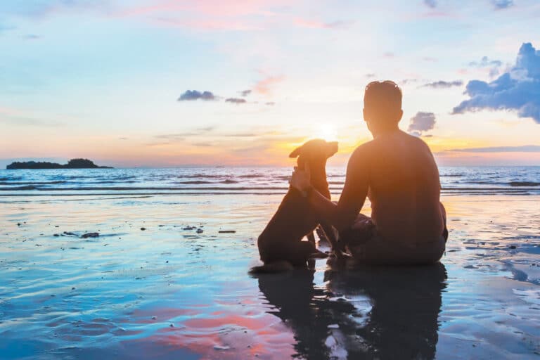 Do Dogs Reincarnate? Exploring the Possibilities – Dogster