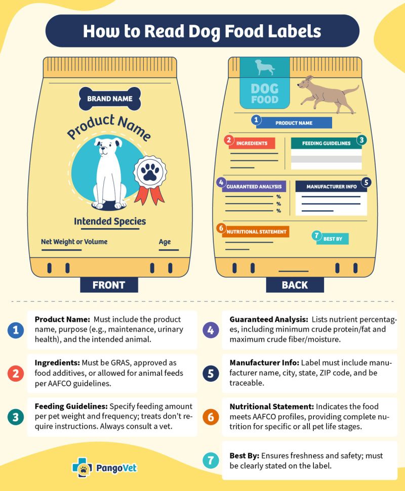 9 Best Affordable Canned & Wet Dog Food in 2026 - Reviews & Top Picks ...