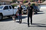 Dug Up at Dogster: Interview with Dog: Impossible's Dog Behavior ...