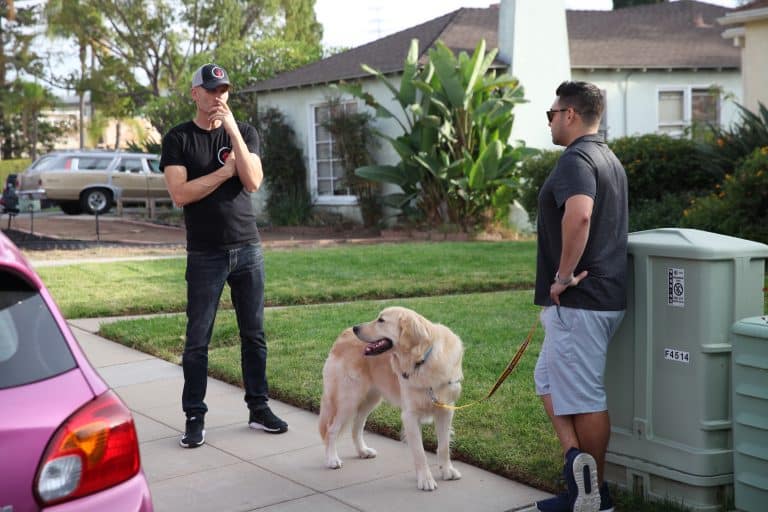 Dug Up at Dogster: Interview with Dog: Impossible's Dog Behavior ...