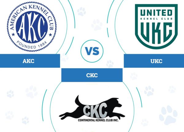 AKC vs CKC vs UKC Registries: The Main Differences – Dogster