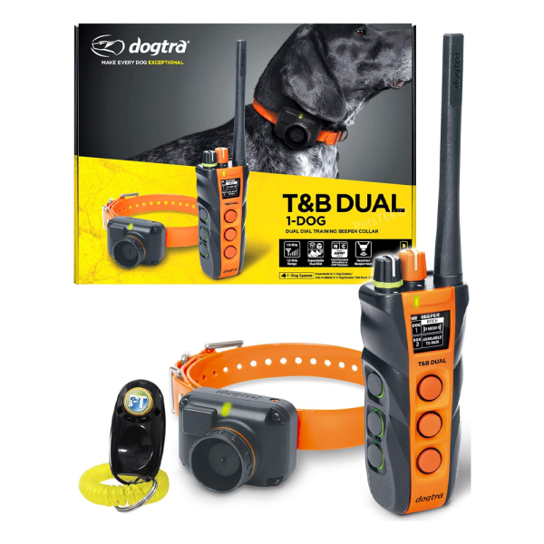 10 Best Dog GPS Trackers & Collars in 2026 - Reviews & Top Picks – Dogster