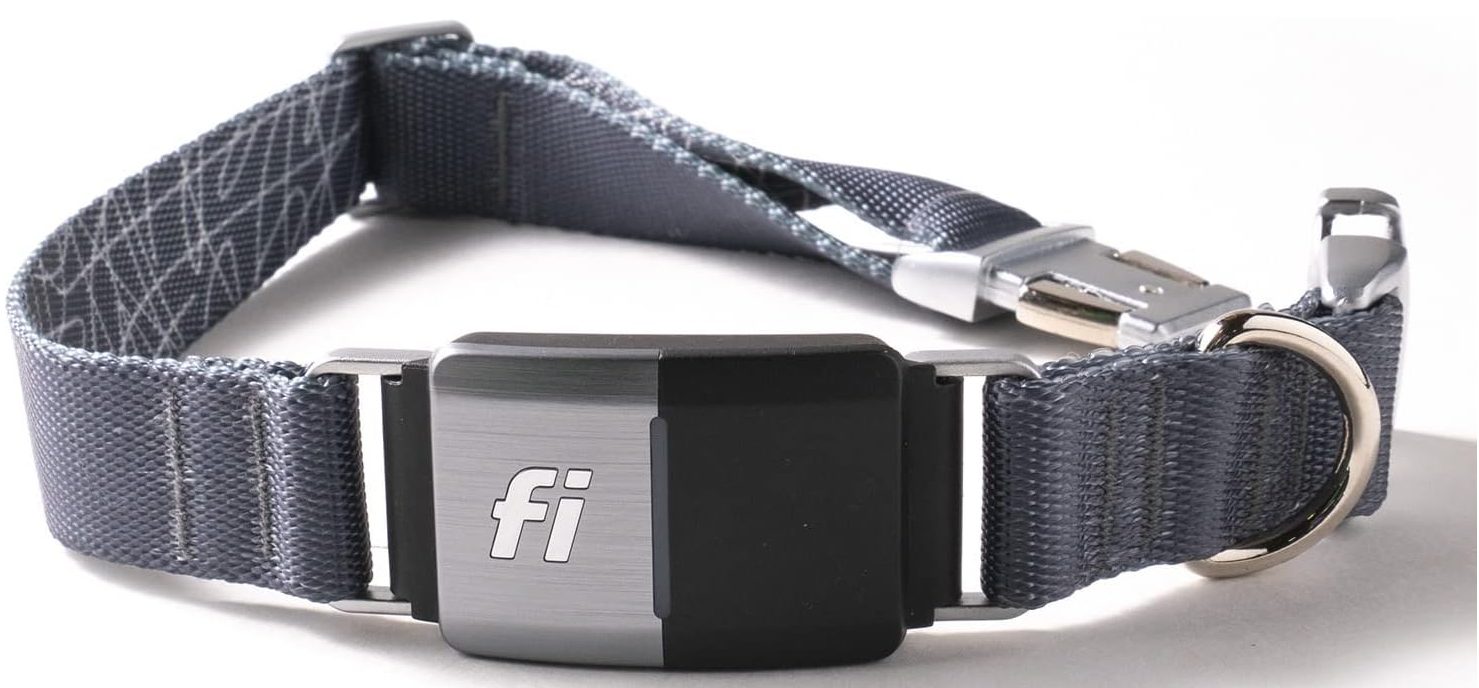 10 Best Dog GPS Trackers & Collars in 2024 - Reviews & Top Picks – Dogster