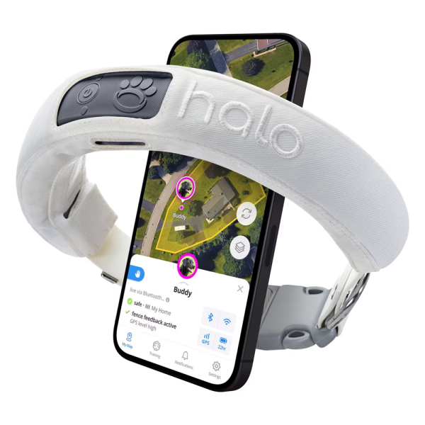 10 Best Dog GPS Trackers & Collars in 2025 - Reviews & Top Picks – Dogster