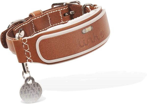 10 Best Dog GPS Trackers & Collars in 2026 - Reviews & Top Picks – Dogster