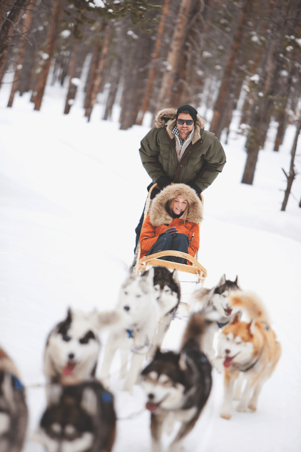 Dog Mushing: What It Is & How To Get Started With the Sport – Dogster