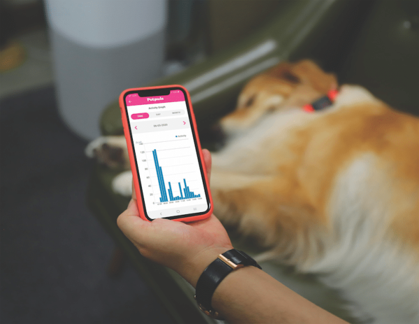 Canine Activity Trackers You'll Want to Try - Buying Guide and Reviews ...