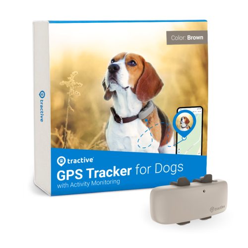 10 Best Dog GPS Trackers & Collars in 2026 - Reviews & Top Picks – Dogster