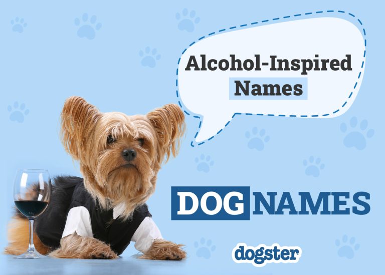225 Alcohol-Inspired Dog Names: Silly Ideas for Your Booze Hound – Dogster