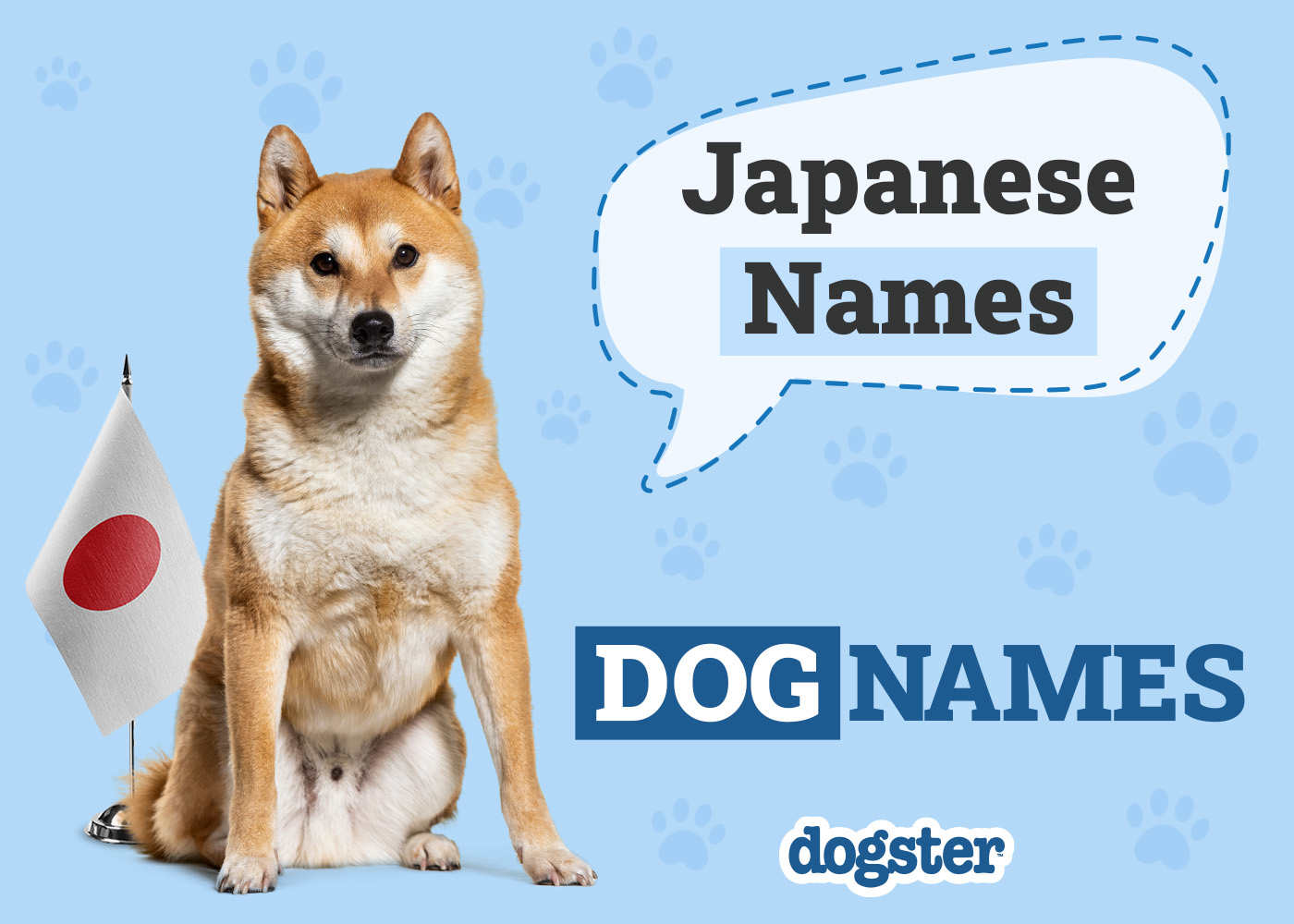 150 Japanese Dog Names With Meanings Traditional Unique Ideas Dogster