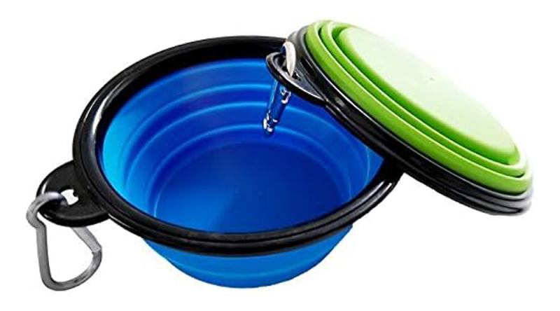10 Best Collapsible Dog Water Bowls in 2025 - Reviews & Top Picks – Dogster