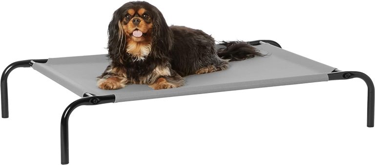 10 Best Cooling Dog Beds in 2026 - Reviews & Top Picks – Dogster