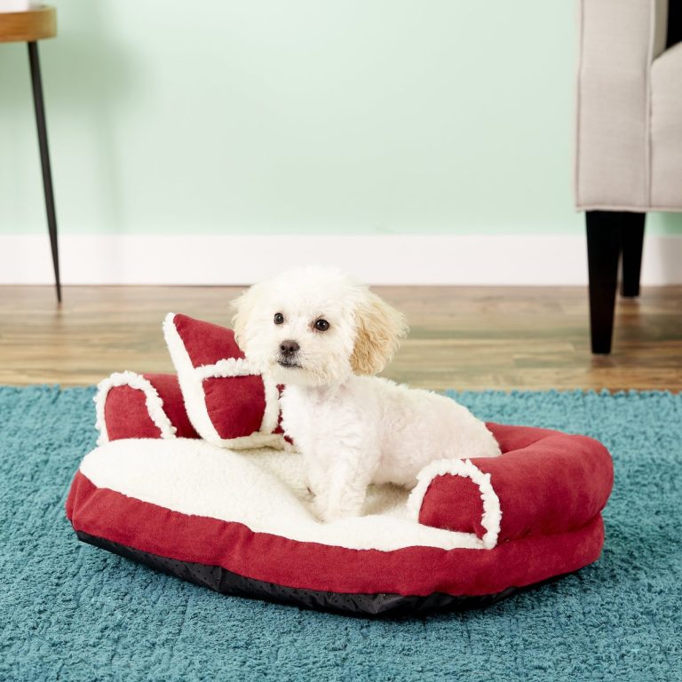 10 Best Washable Dog Beds in 2025 - Reviews & Top Picks – Dogster