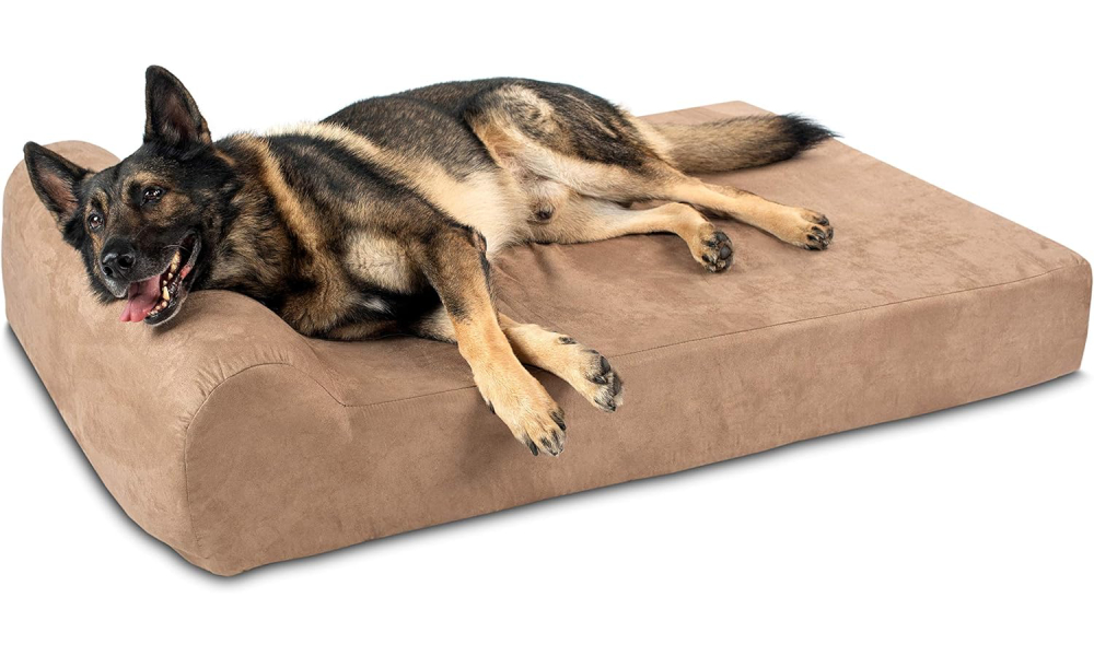 8 Best Dog Beds for Older Dogs in 2024 – Reviews & Top Picks – Dogster