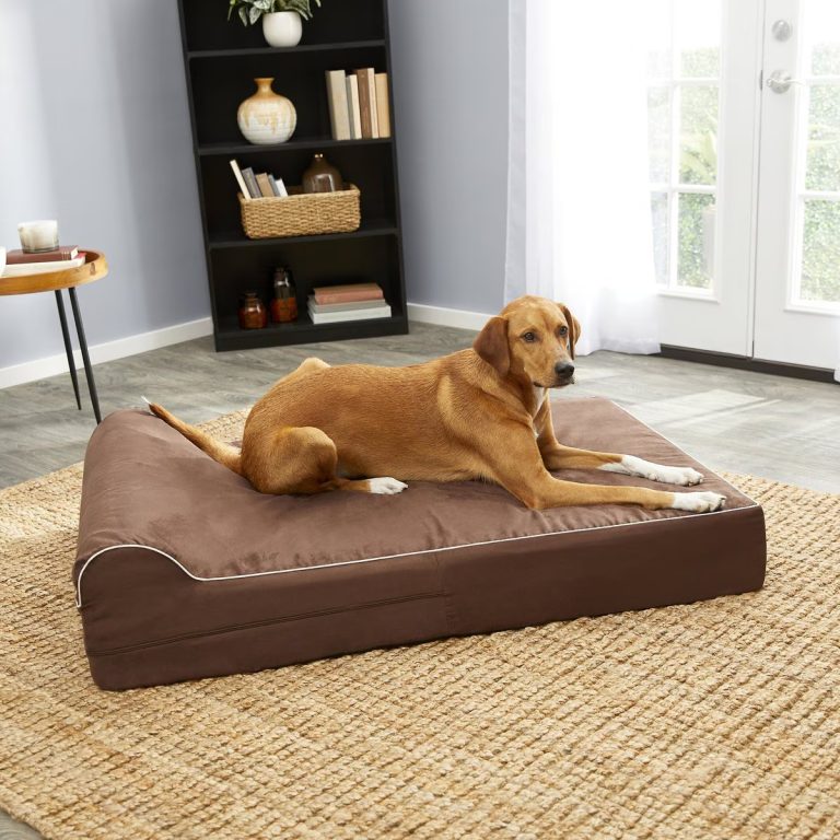 7 Best Dog Beds for Older Dogs in 2026 – Reviews & Top Picks – Dogster
