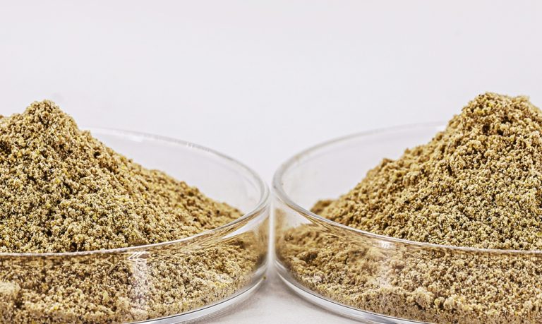 Bone Meal in Dog Food: Is It Healthy for Your Dog? – Dogster