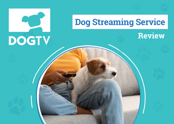 DOGTV Review 2025: Our Expert’s Opinion: Pros, Cons & Verdict – Dogster