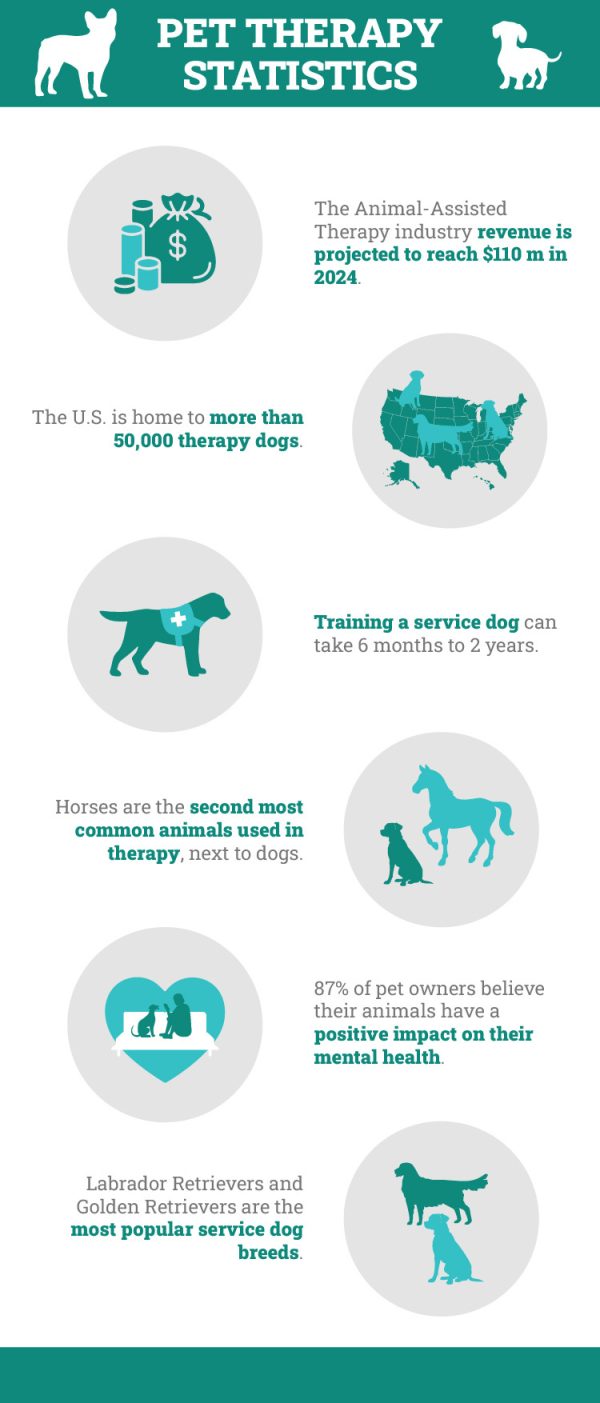 16 Fascinating Pet Therapy Statistics in 2025: Benefits, Facts & FAQ ...