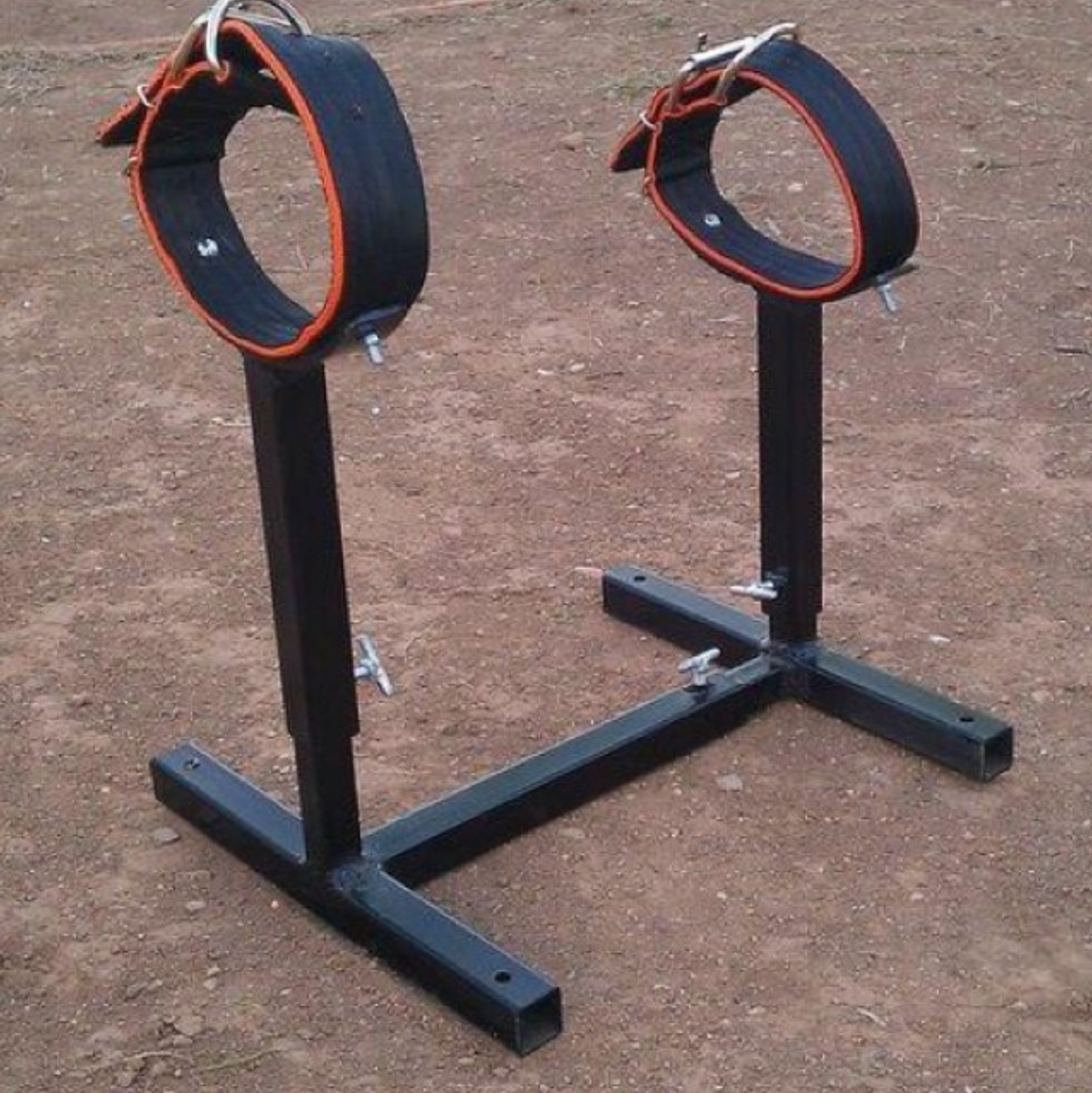 Dog Breeding Stands: Definition, Ethics & Considerations (Vet Reviewed ...