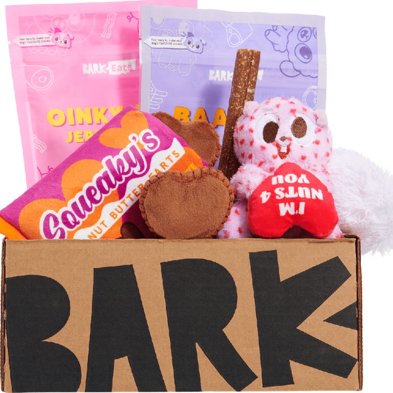 10 Best Dog Subscription Boxes in 2026 - Reviews & Top Picks – Dogster